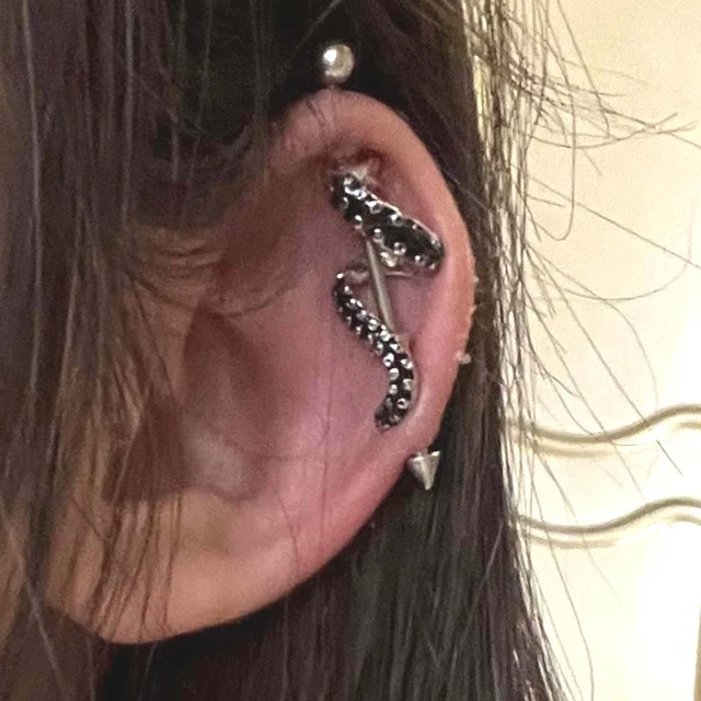 Industrial Piercing Earrings Dragon