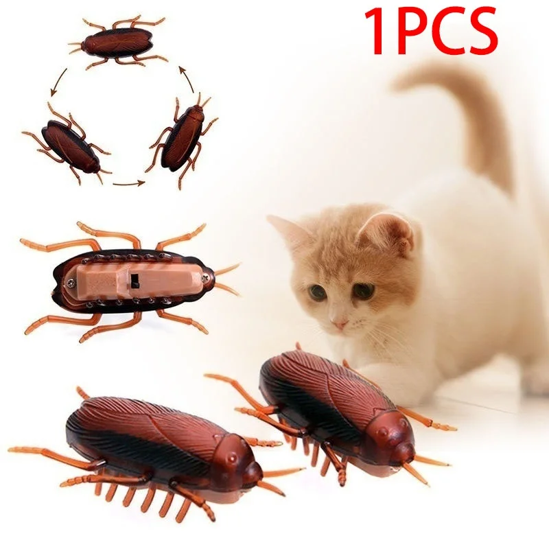 Delysia-King-Cockroaches-Pet-Cat-Dog-Training-Play-Toy.jpg