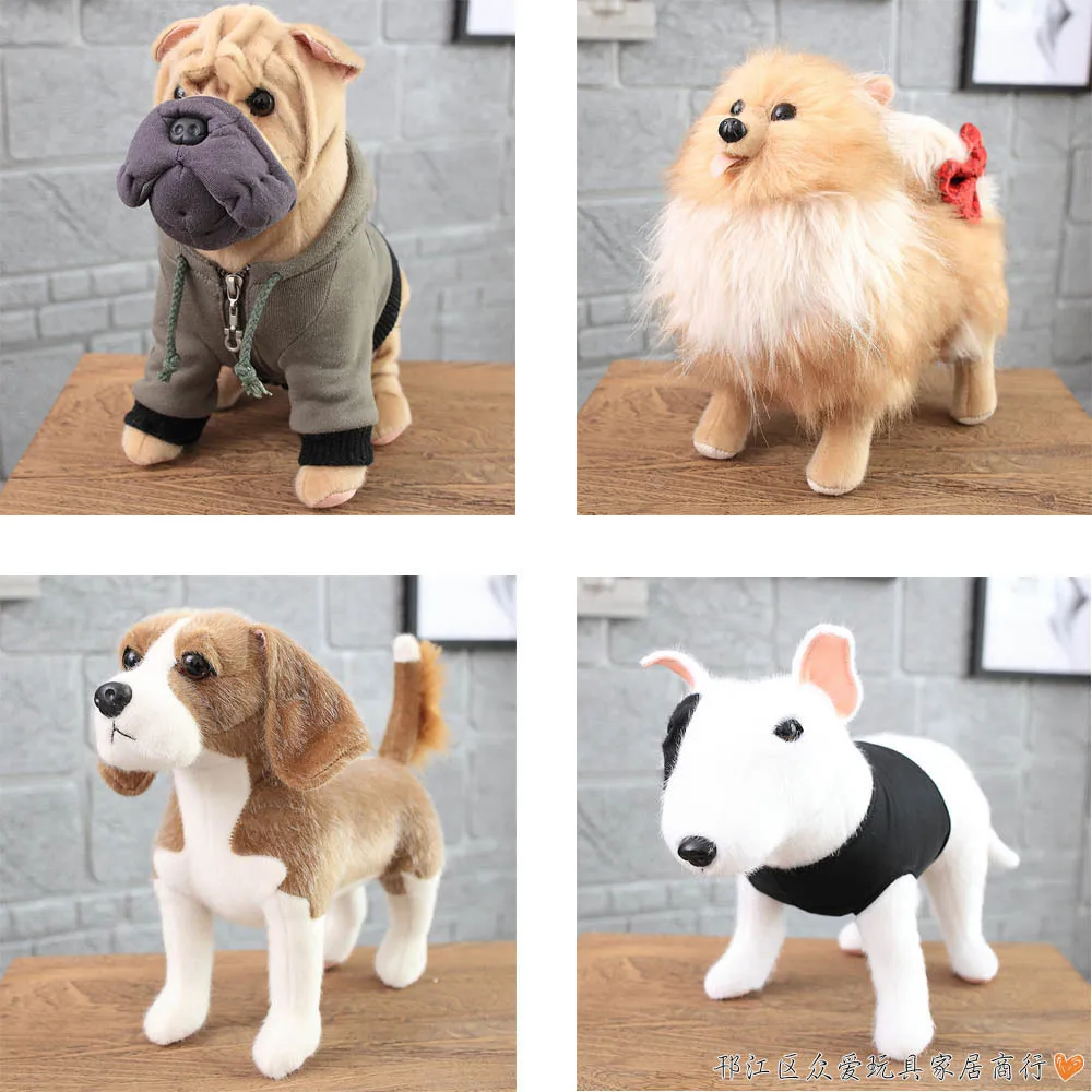 Brinquedo De Pelúcia Cão De Estimação Boneca Bullfight Chihuahua Golden ...