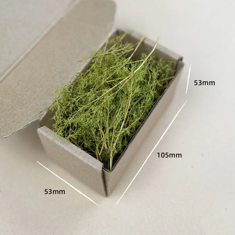 Dry-Grass-Model-Kit-Quinoa-Plant-Diy-Military-Sand-Table-Scene ...