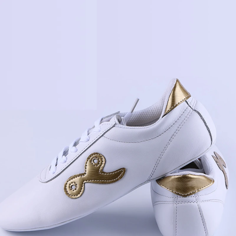 Chinese-Kung-Fu-Shoes-Tai-Chi-Shoe-Taiji-Wu-shu-Martial-Arts-Made-of-PU ...