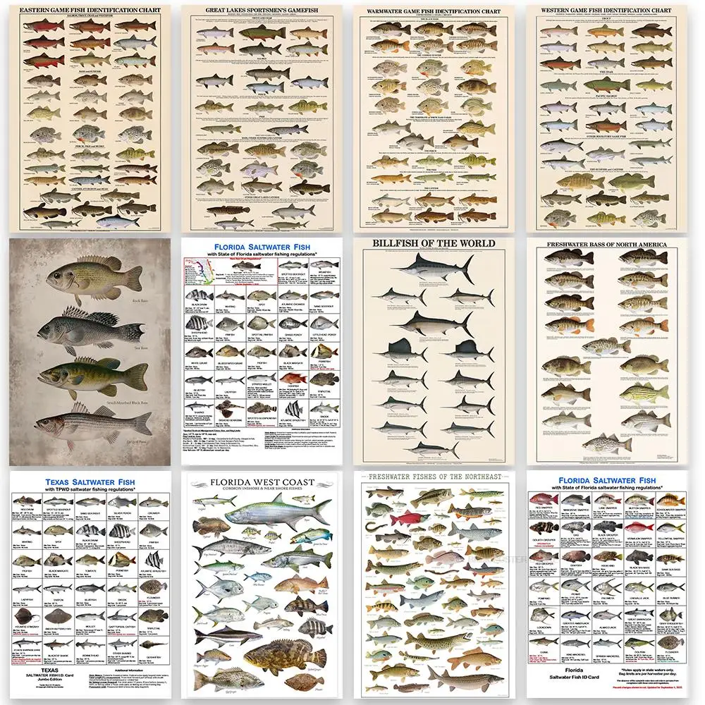 Marine Fish Chart