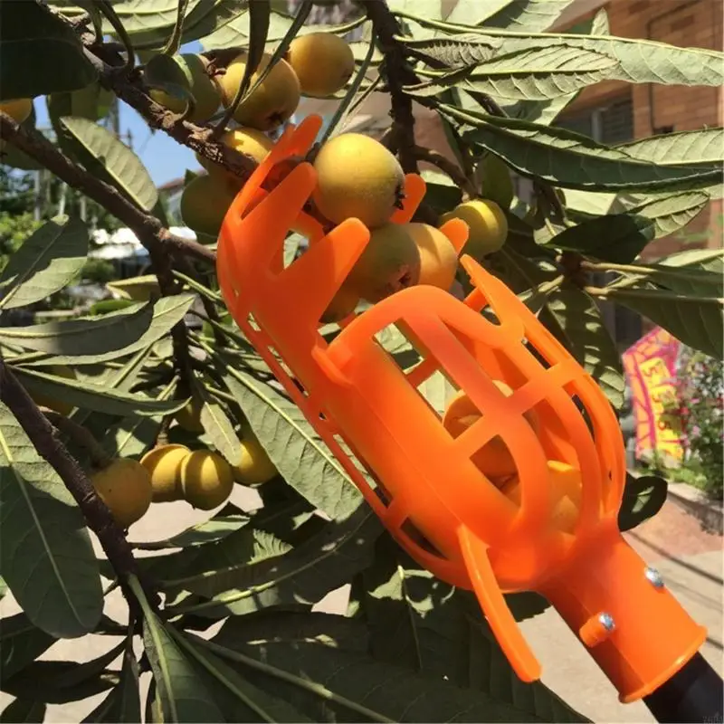 Fruit Pickers Tool Apples Fruit Tree Pickers Tool Plastic Fruit Grabber ...
