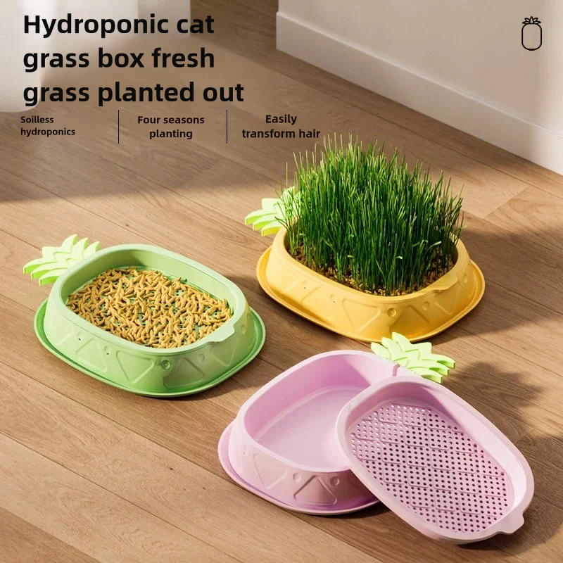 Hydroponic Cat Grass Planter Cat Grass Planter Tray Pineapple Design ...