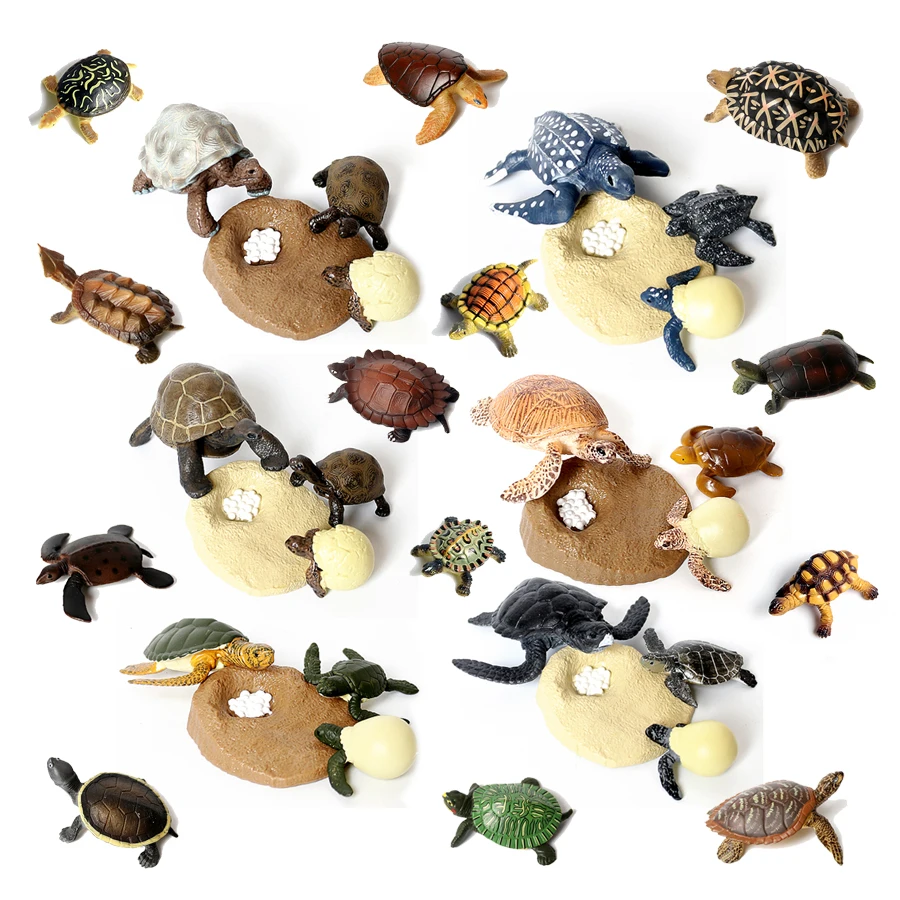 Plastic-Ocean-Sea-Turtle-Animal-Unique-Tortoise-Life-Growth-Cycle ...