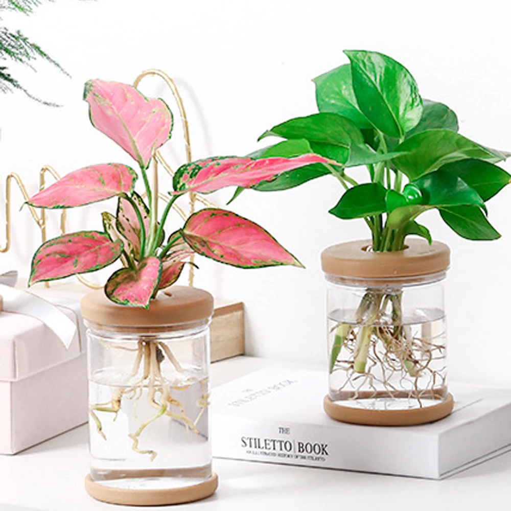 Mini-Hydroponic-Flower-Pot-Home-Vase-Decor-Transparent-Imitation-Glass ...