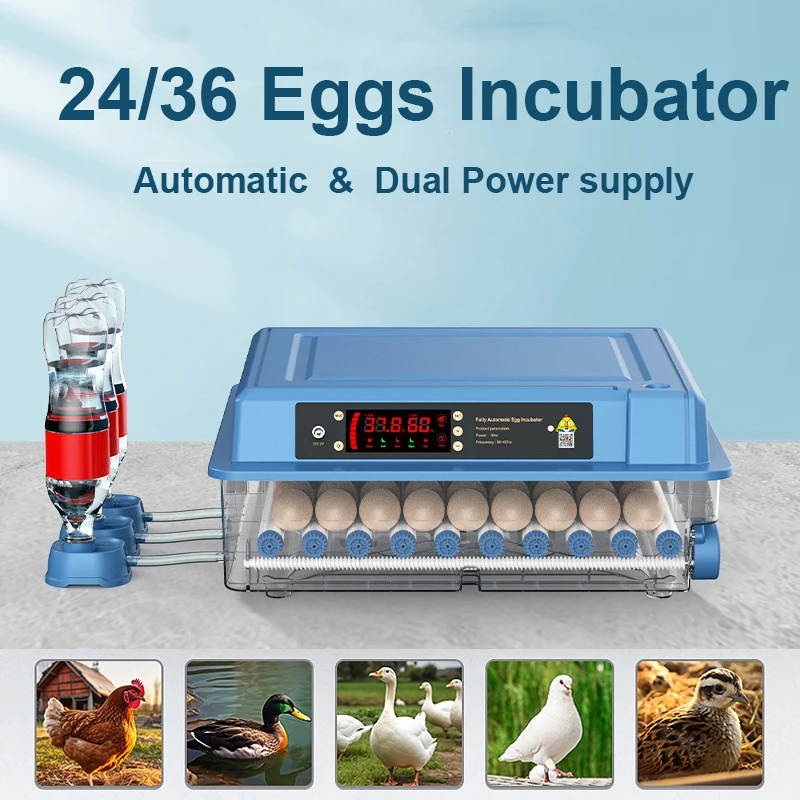 Store Home Products Summer Sale Feedback