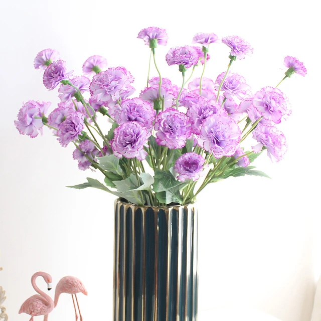 Purple Carnation Flower Meaning