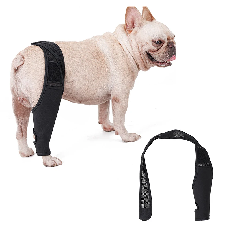 1 Pc Pet Knee Pads Support Brace For Leg Hock Joint Wrap Breathable 1-pc-pet-knee-pads-support-brace-for-leg-hock-joint-wrap-breathable