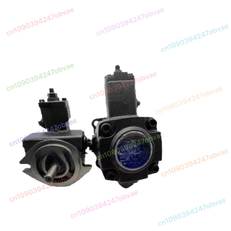 1 pcs VCM-SF-20B/20C/15D-10 Hydraulic VP Oil Pump VCM-SF-30D/40B-10 ...