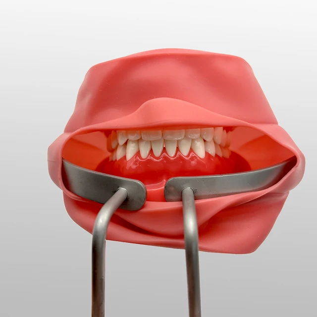 Eye Retractor Minnesota Retractor - Stainless Steel Dental Lip & Cheek ...