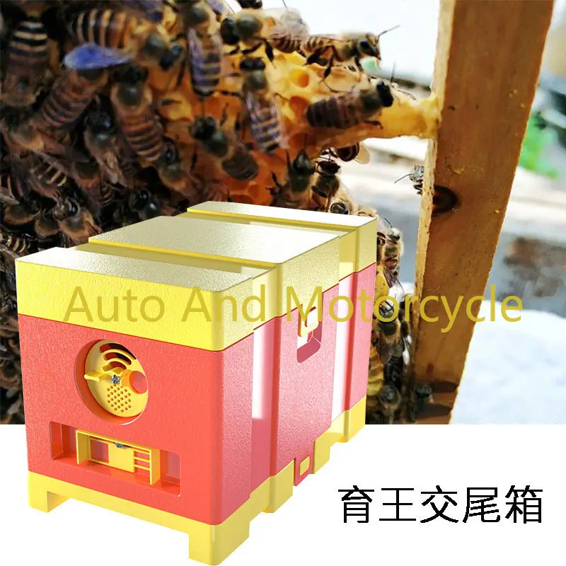 Plastic-Mating-Box-Durable-Stackable-Queen-Bee-Rearing-Box-for ...