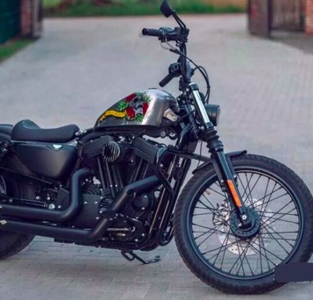 Harley 48 Custom Paint