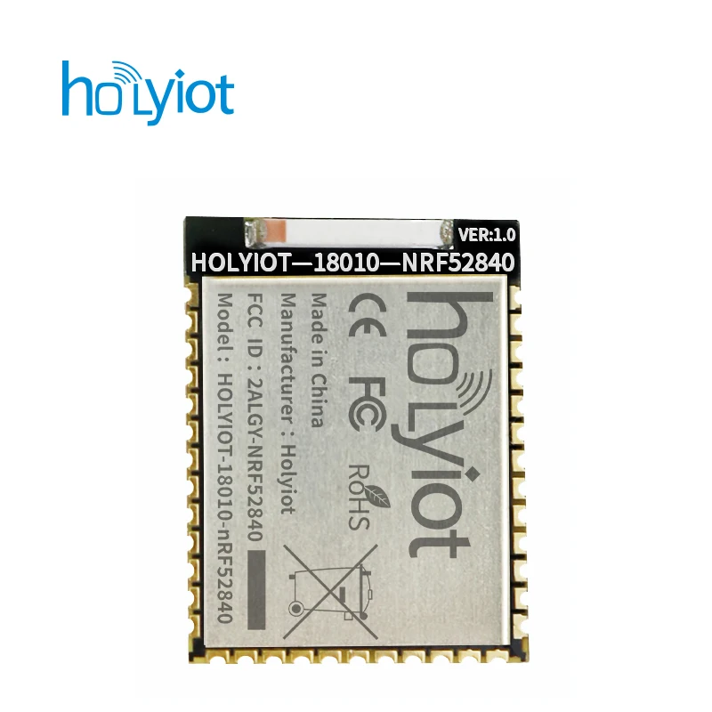 FCC-CE-Holyiot-18010-Nordic-NRF52840-Module-Bluetooth-Low-Energy ...