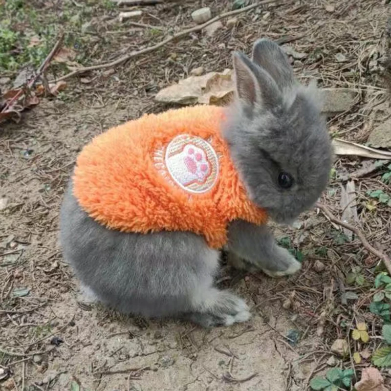 Autumn-Winter-Bunny-Jacket-Warm-Fleece-Small-Animals-Clothes-for-Rabbit ...