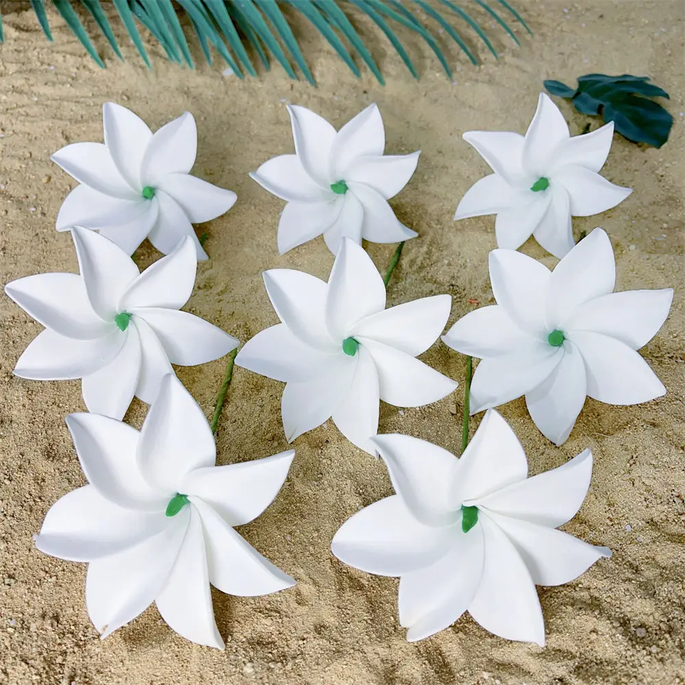 Store Home Products Summer Sale Feedback