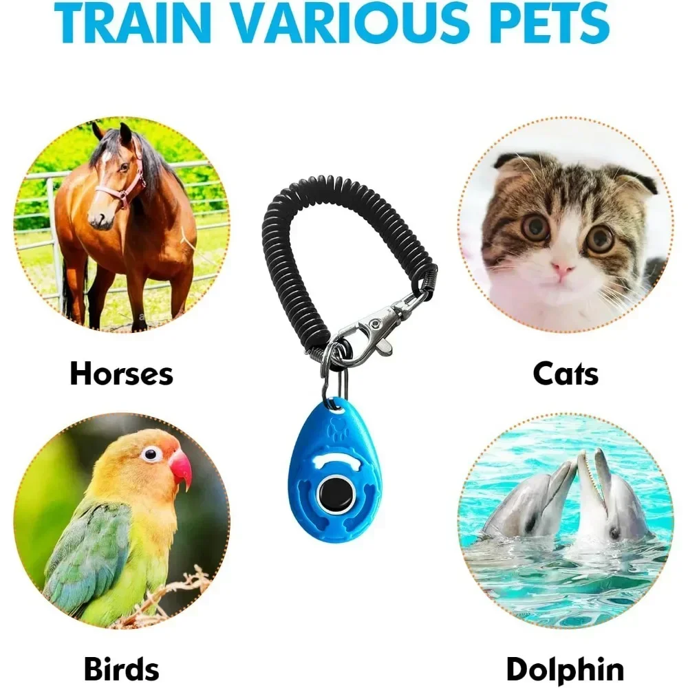 Clicker Cats: The Ultimate Training Tool for Feline Friends and Beyond