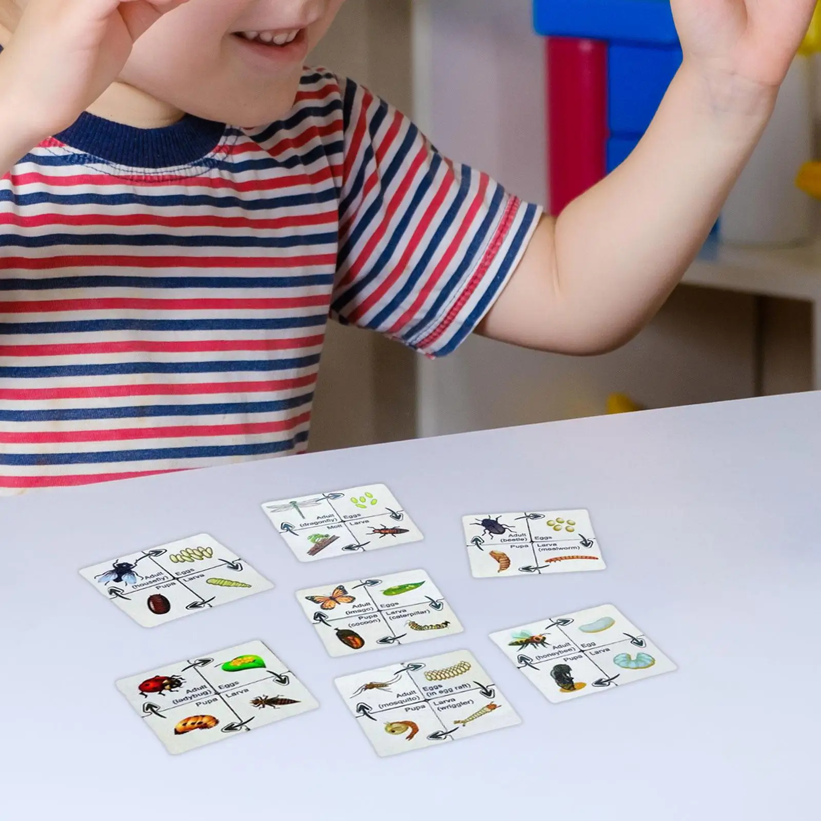 Life-Cycle-Puzzle-Early-Childhood-Education-Matching-Game-Gifts-Jigsaw ...