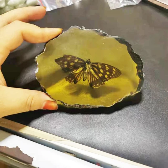 Butterfly Amber Fossils