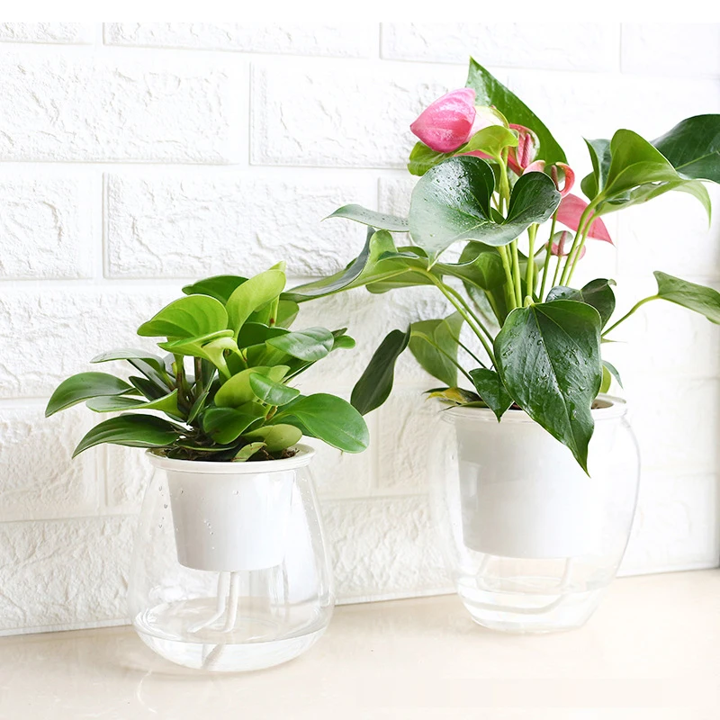 1PC-Simple-and-Transparent-Circular-Home-Indoor-Flower-Automatic-Water ...