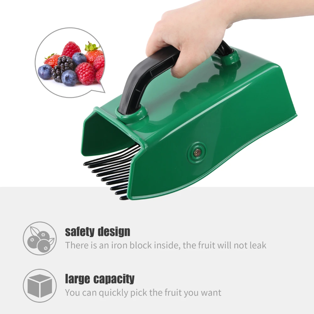 Homemade Blueberry Rake