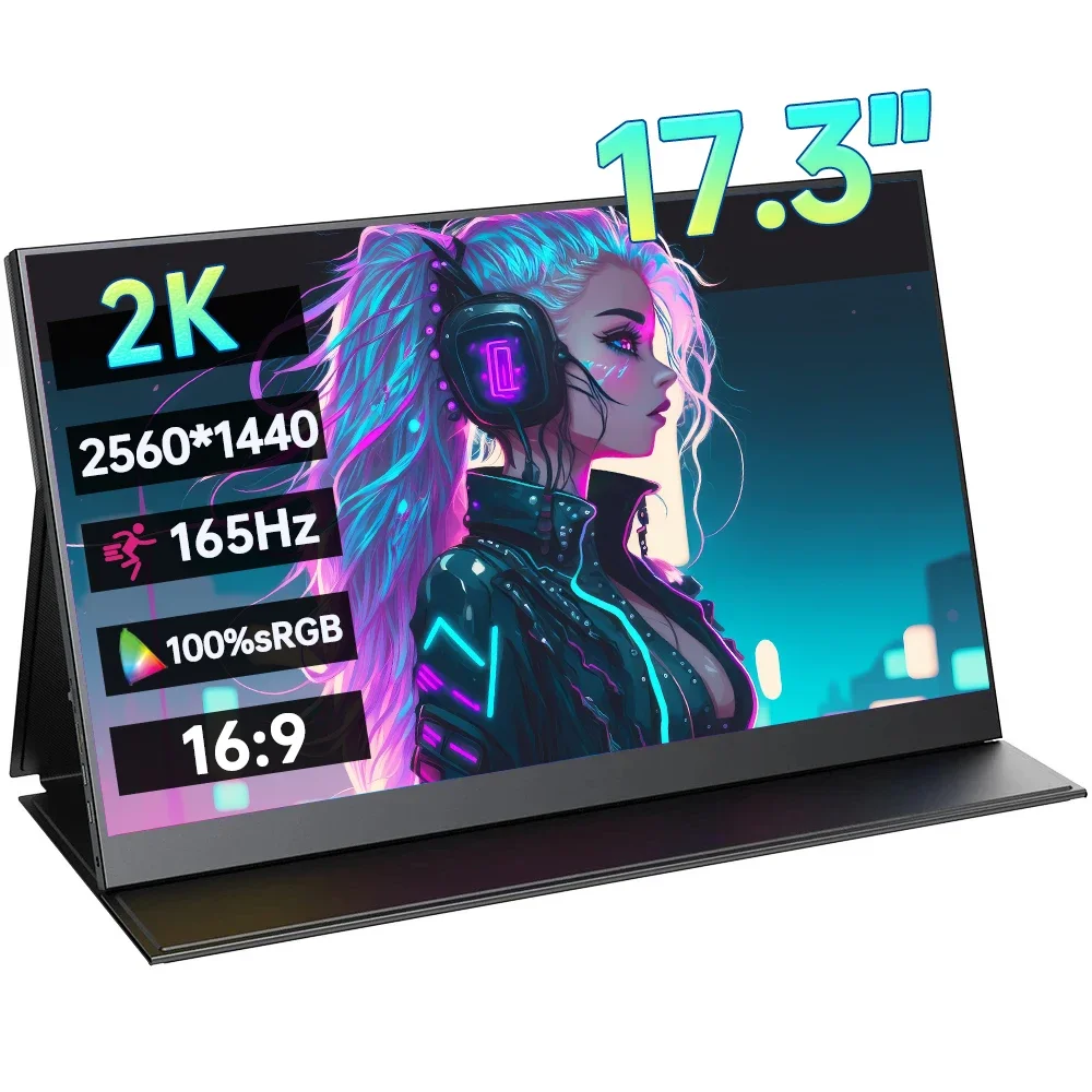 17.3 Inch 2K 165Hz Portable Monitor 16:9 100%sRGB 500Nit 3MS Display ...
