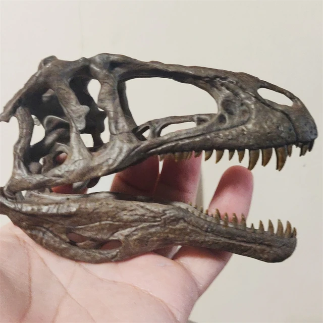 Guanlong Skull