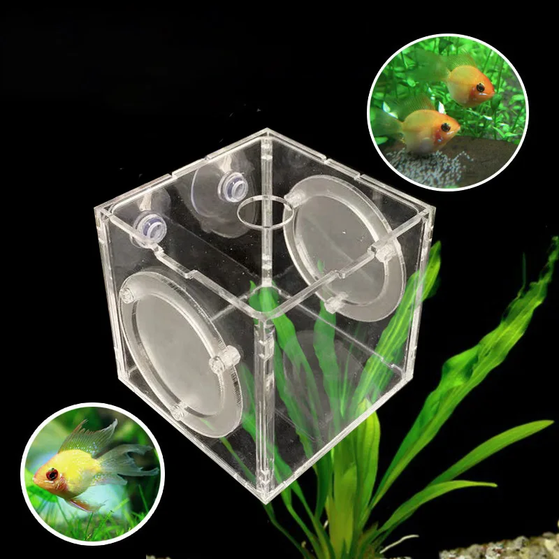 Small-Fish-Hatching-Box-Acrylic-Fish-Tank-Hatching-Container-Guppy ...
