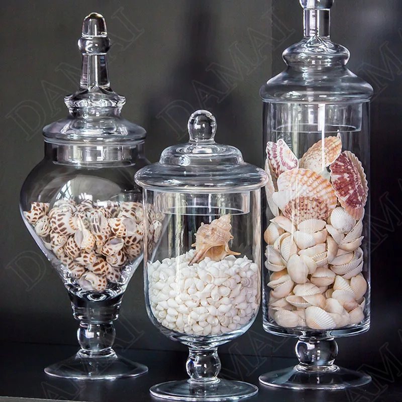 Glass with Lid Storage Jar Tall Feet Candy Jars Shell Conch Organizer ...