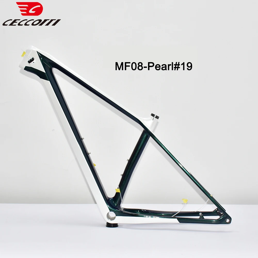 2023-MTB-29-CECCOTTI-29er-MTB-Frame-T1000-Carbon-Mountain-Bike-Frame.jpg