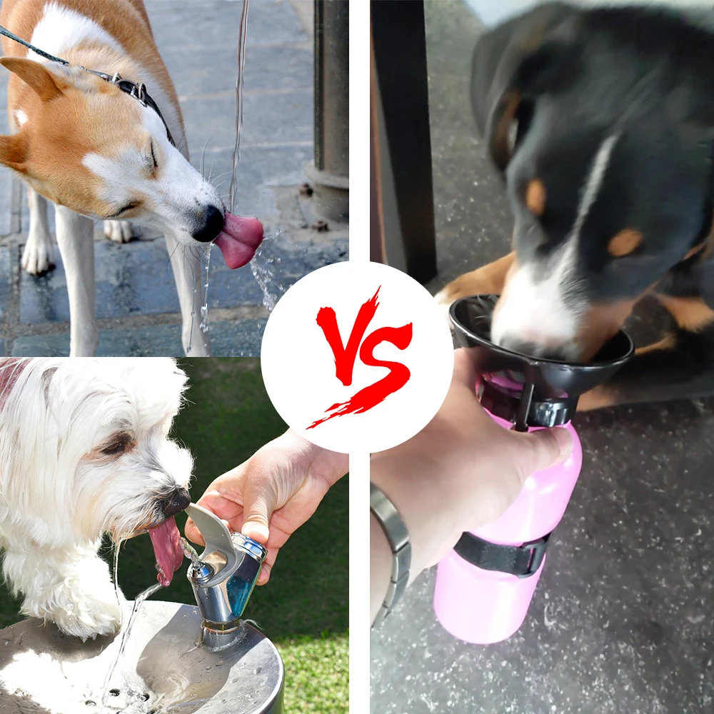 Outdoor Pet Drinker Portable Water Jug Cup Dispenser Pet Feeder Dog ...