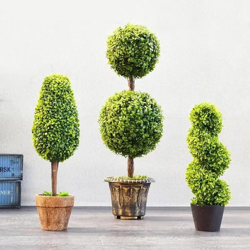 Boxwood Topiary Spiral