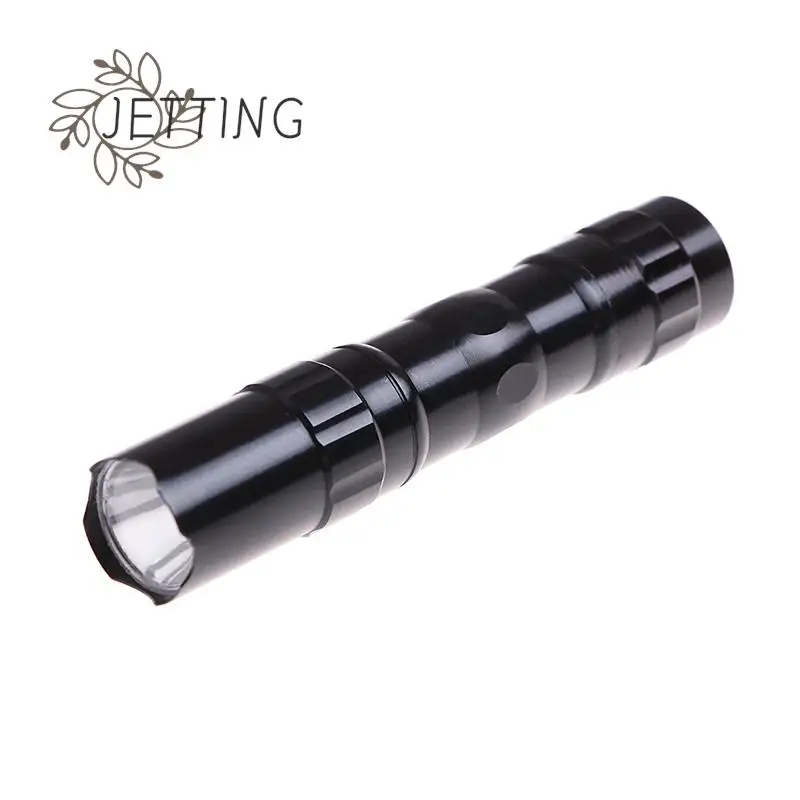 Waterproof-Mini-LED-Flashlight-Torch-Pocket-Light-Portable-Lantern-AA ...