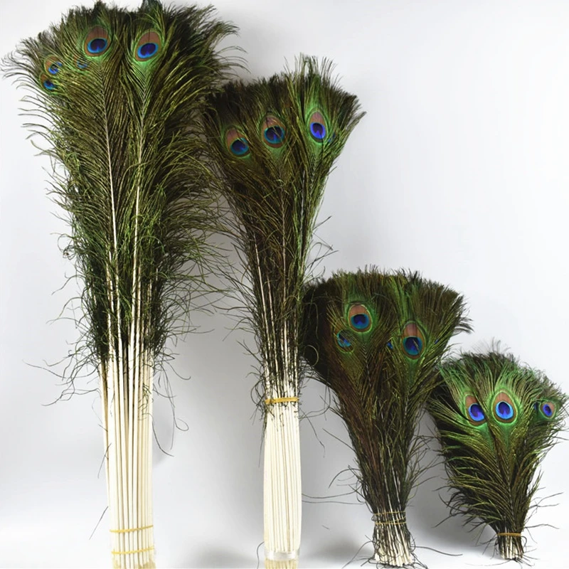 Hướng dẫn how to decorate peacock feathers at home bằng những cách độc ...