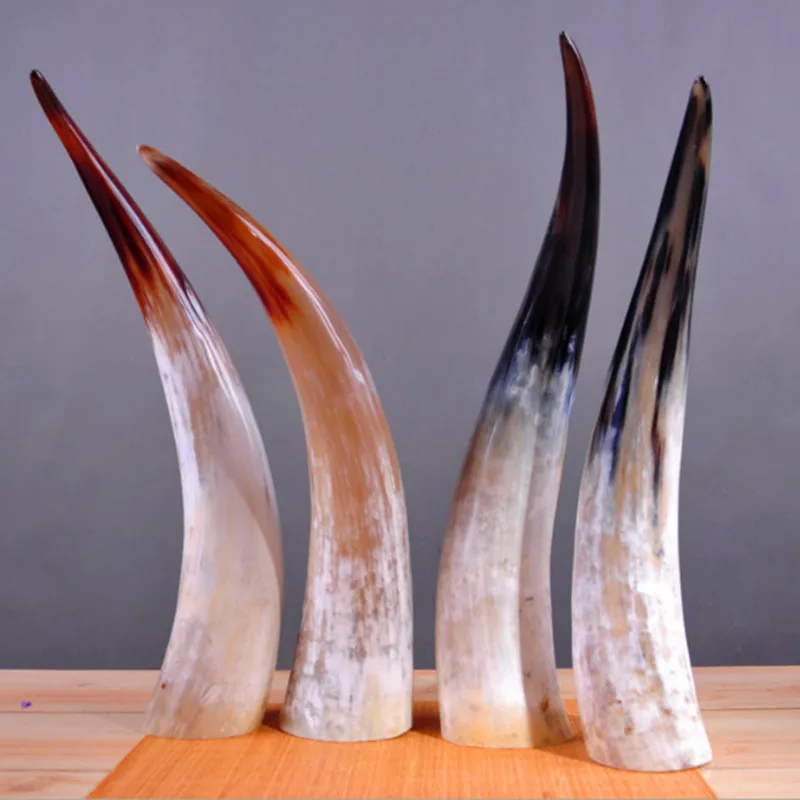 African horn ornaments natural office dec yak horn crafts DIY crafts ...