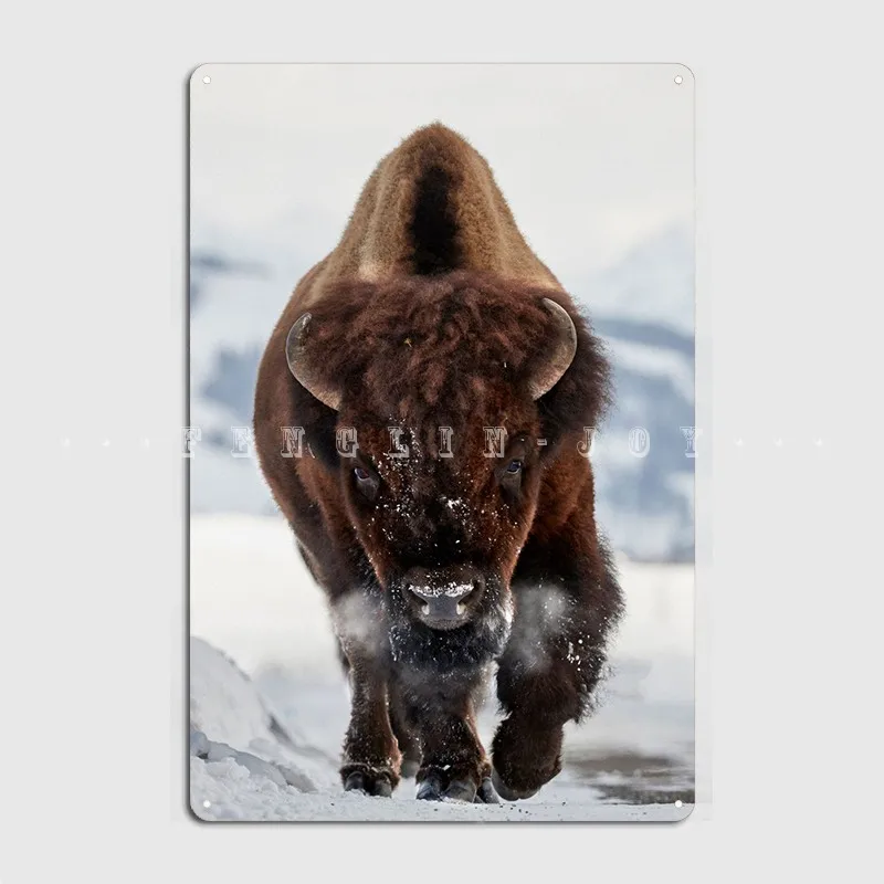 Bison-Incoming-Metal-Sign-Wall-Decor-Club-Party-Personalized-Club-Bar ...