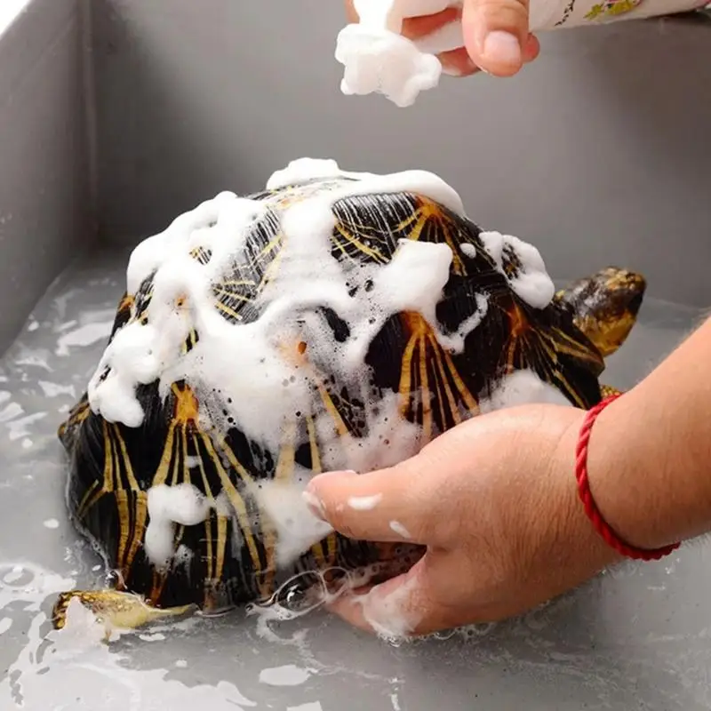 120ml-Turtle-Shell-Cleaner-Lizard-Cleaner-Liquid-Shell-Liquid-Cleaner ...
