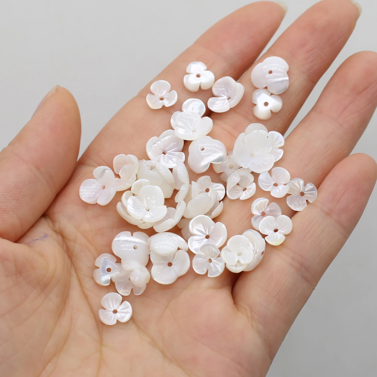 5-pezzi-di-perle-di-madreperla-naturale-a-forma-di-trifoglio-perline ...