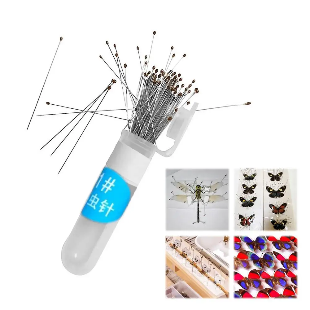 100pcs Stainless Steel Specimen Pins Insect Pins For School Lab ...
