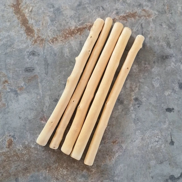 Tree Branch Stick