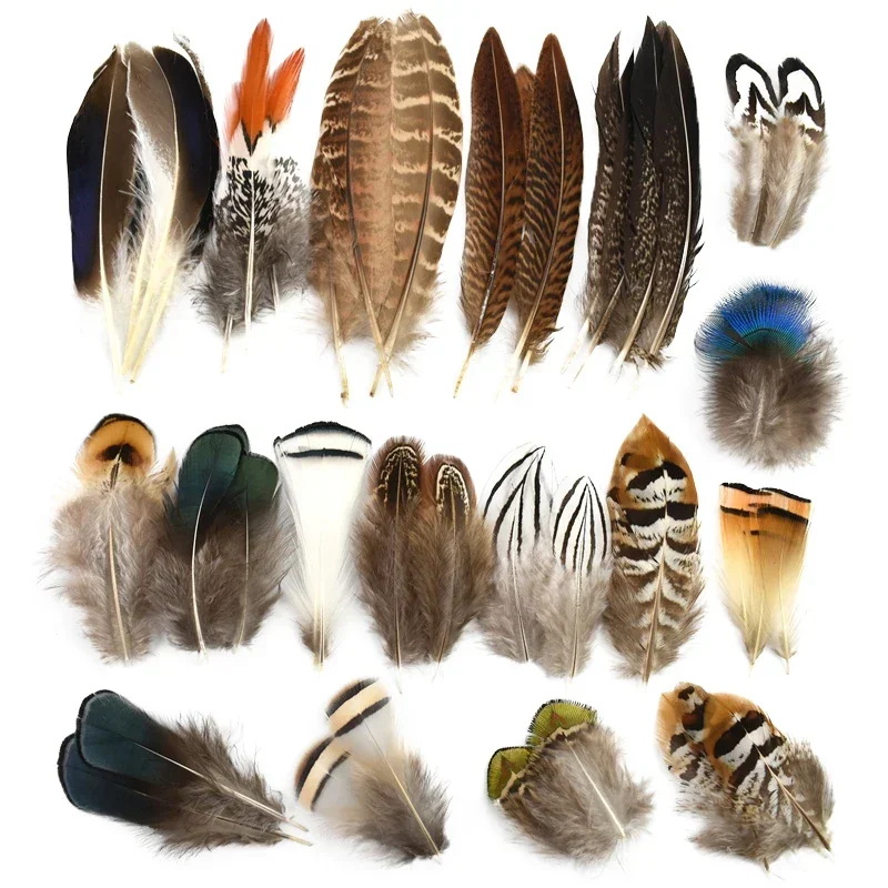 Rare-Natural-Peacock-Goose-Pheasant-Feather-Decor-Small-Feathers-for ...