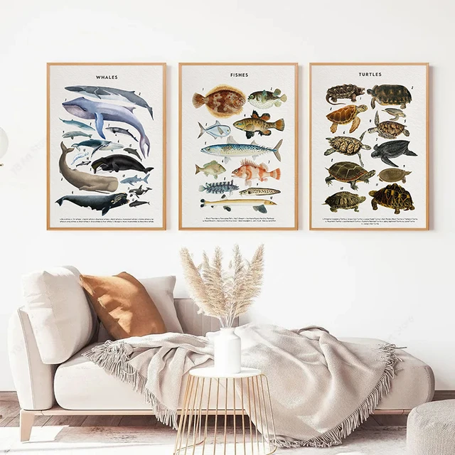 Ocean Sea Creatures Posters