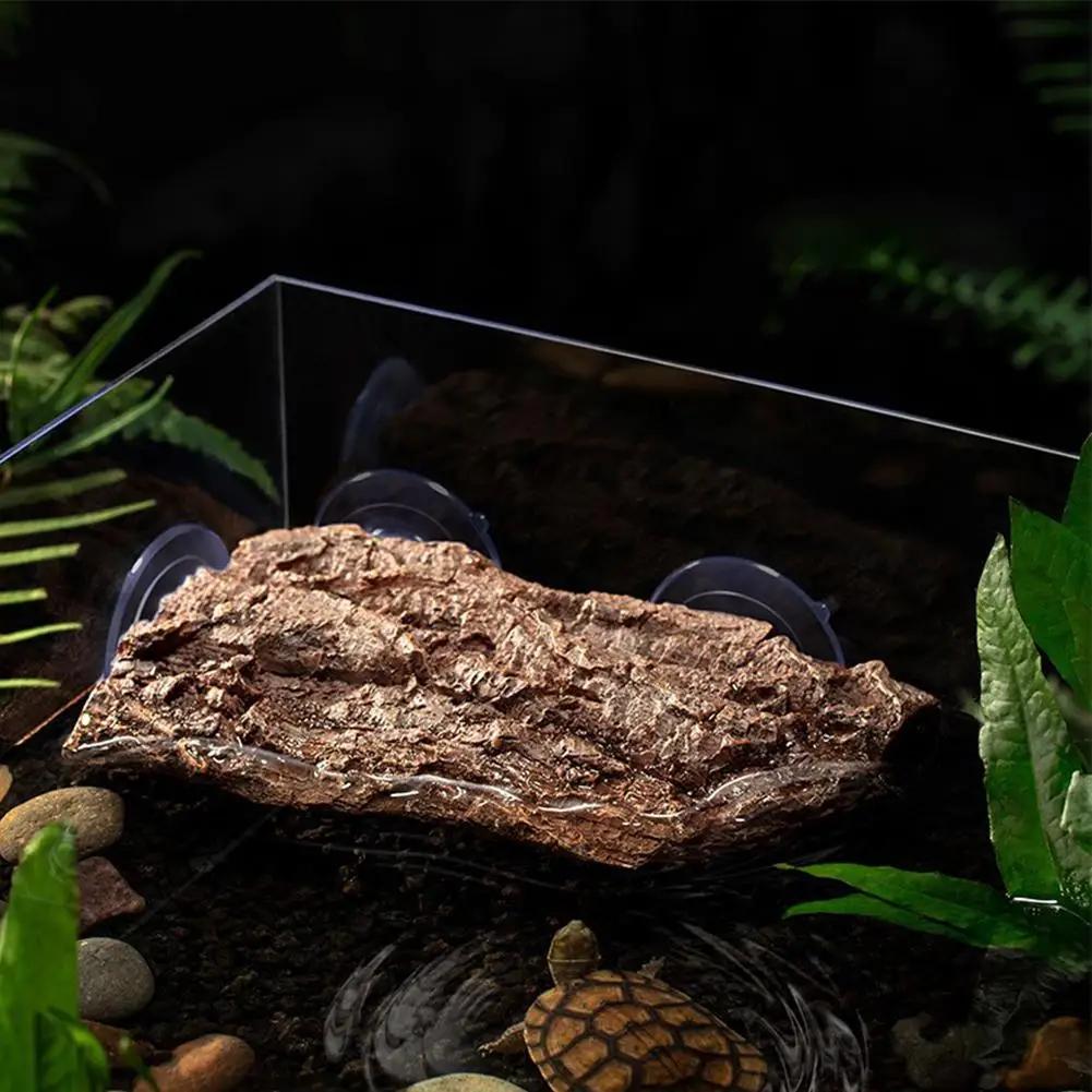 Aquarium Rocks For Turtle