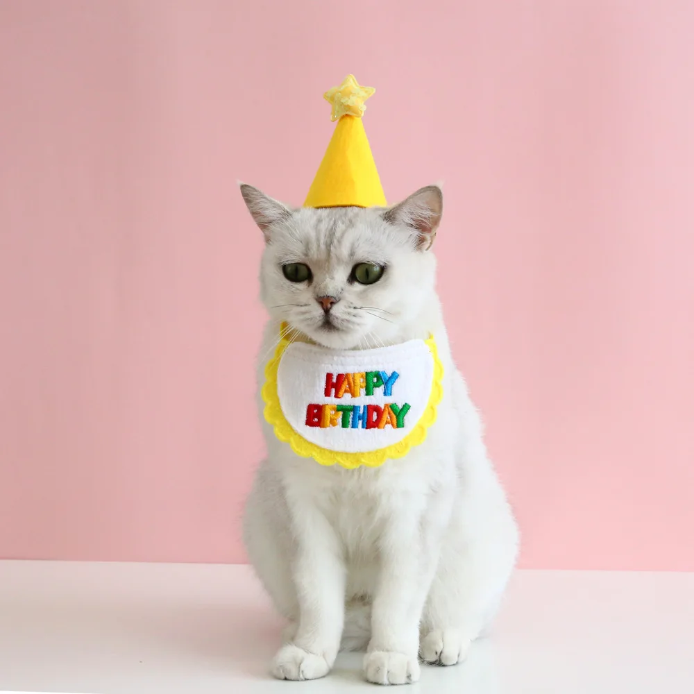 Happy Cat Party Hat