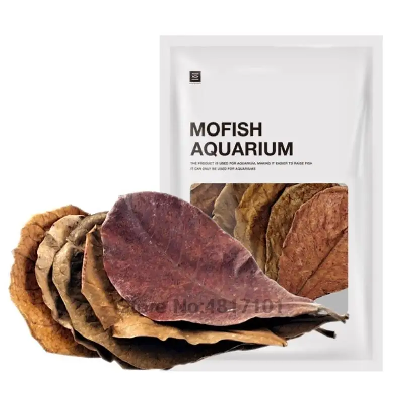 20pcs-Large-Catappa-Indian-Almond-Leaves-for-Fish-Aquarium-Tanks-Long ...