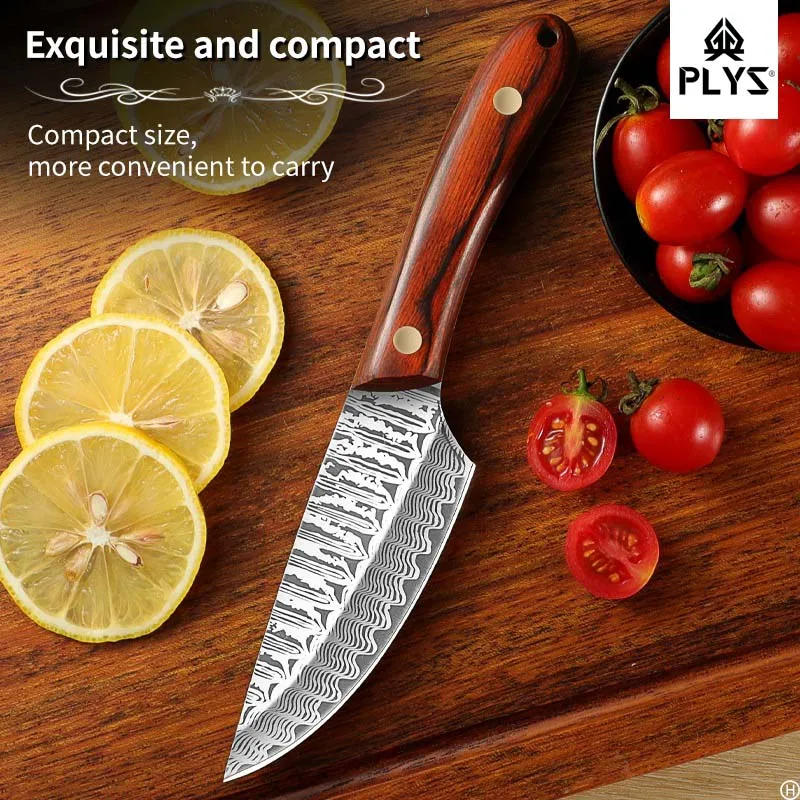 PLYS-Damascus-Pattern-Fruit-Knife-Home-Meat-Cutting-Knife-Professional ...