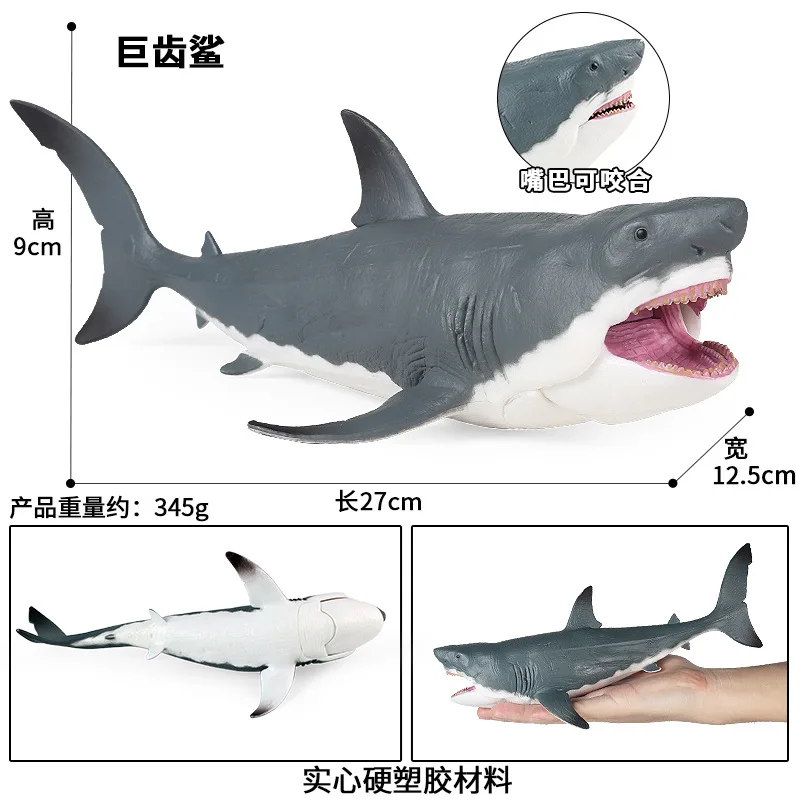 Megalodon Vs Killer Whale