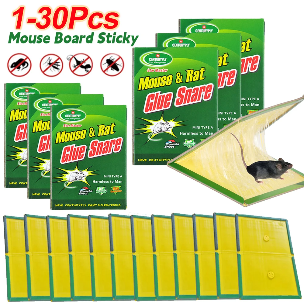 Tablero-de-rat-n-adhesivo-de-alta-eficacia-trampa-de-pegamento-para ...