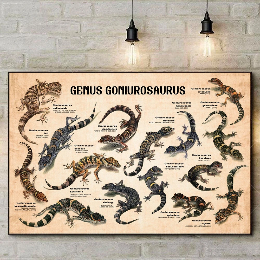 Leopard Gecko Morphs Poster
