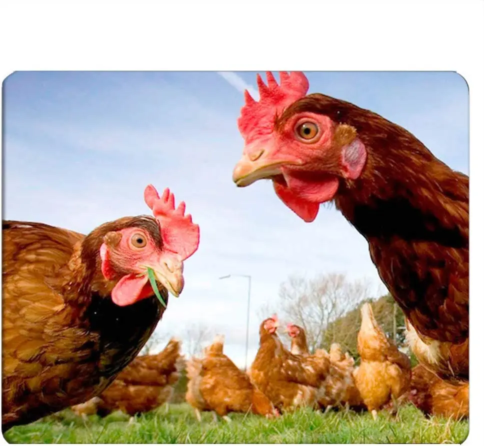 Chicken-Gaming-Mousepad-Funny-Chicken-Mouse-Pad-Mouse-Mat-for-Computer ...